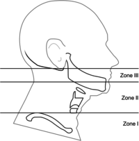 Trauma Surgery Category - Differential Diagnosis of
