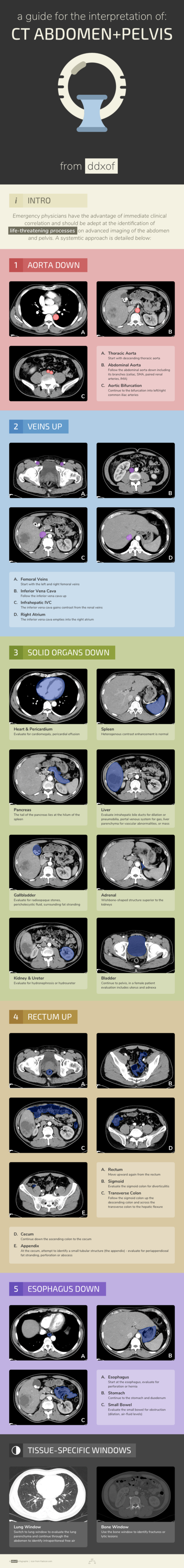 CT Infographic - Differential Diagnosis of