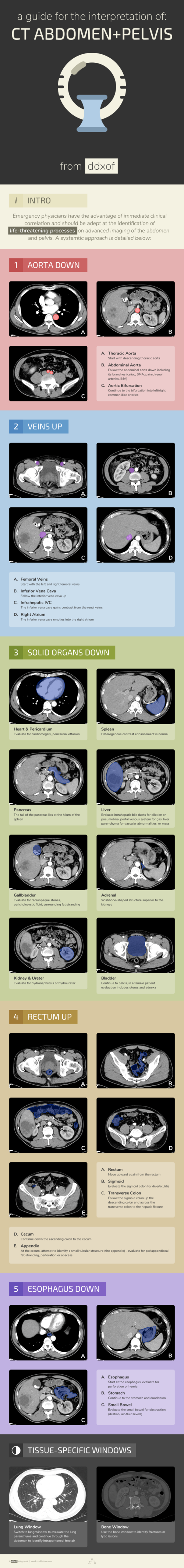 CT Infographic@2x - Differential Diagnosis of