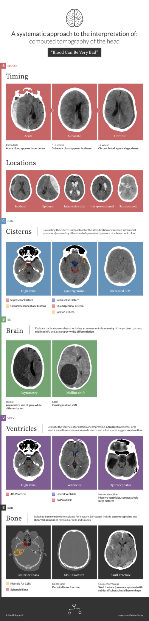 Infographic@2x - Differential Diagnosis of
