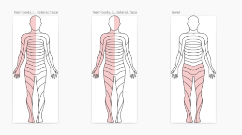 dermatome - Differential Diagnosis of