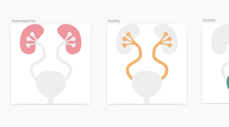 kub - Differential Diagnosis of
